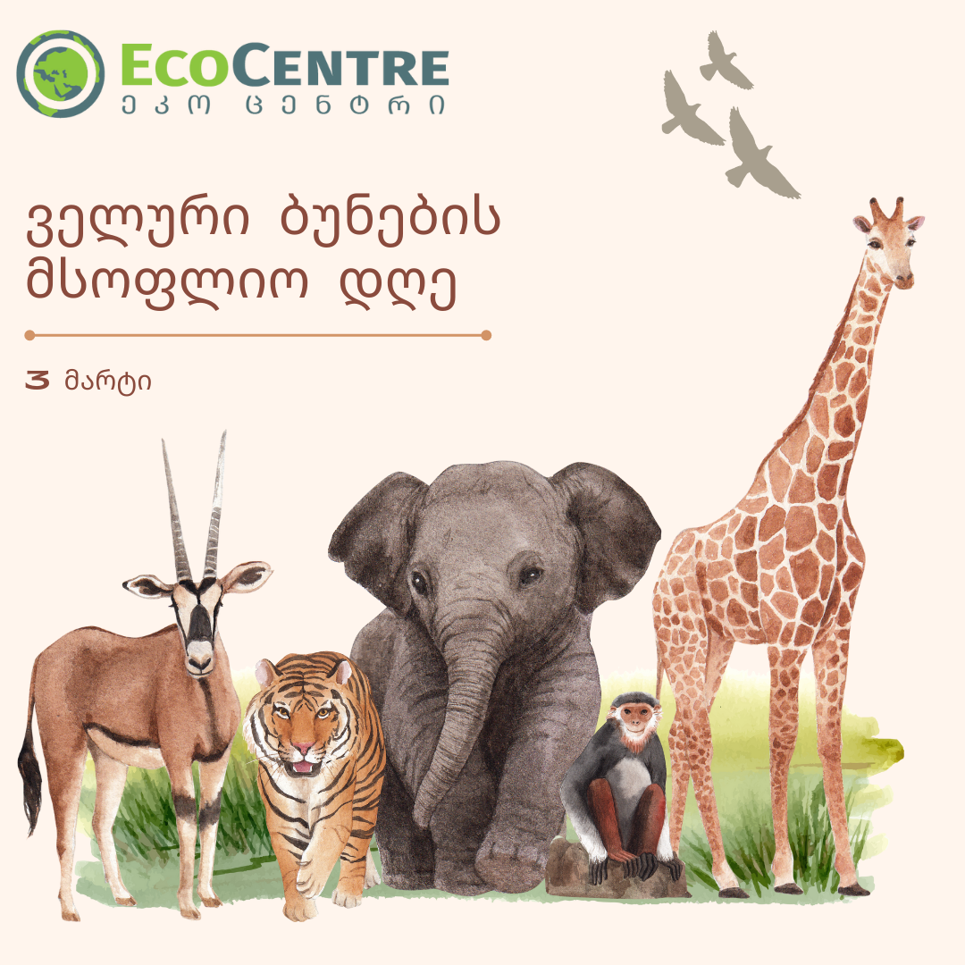 3 მარტი ველური ბუნების მსოფლიო დღეა • Eco Centre